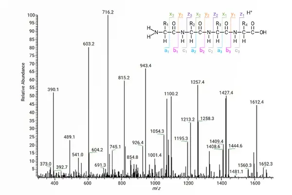 Introduction to Peptide Mapping | CHROMacademy